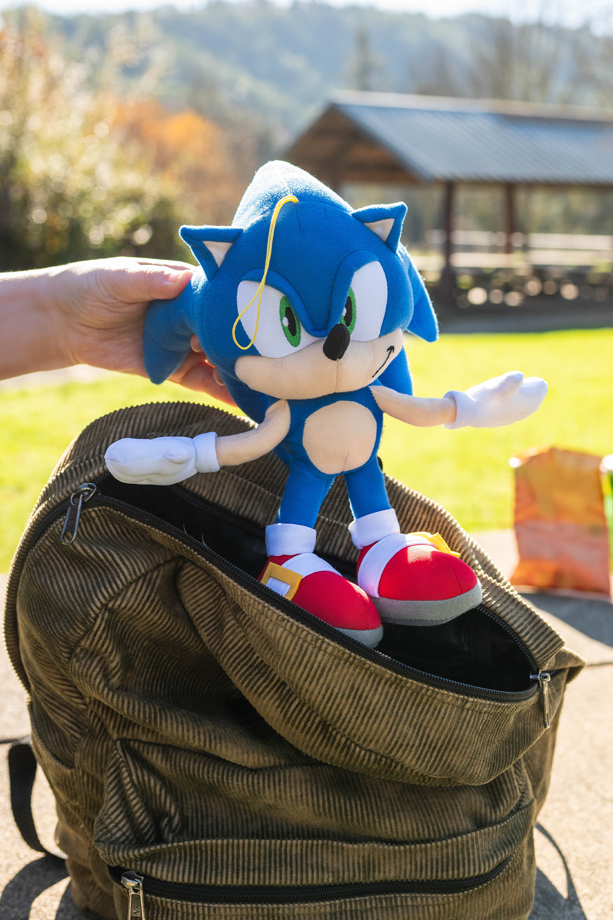 Sonic Posable Plush – SEGA Shop